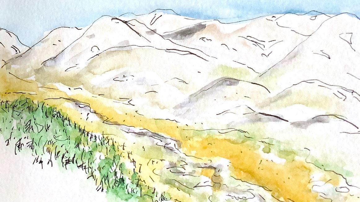 Northern Landscape – Nature's Reverie