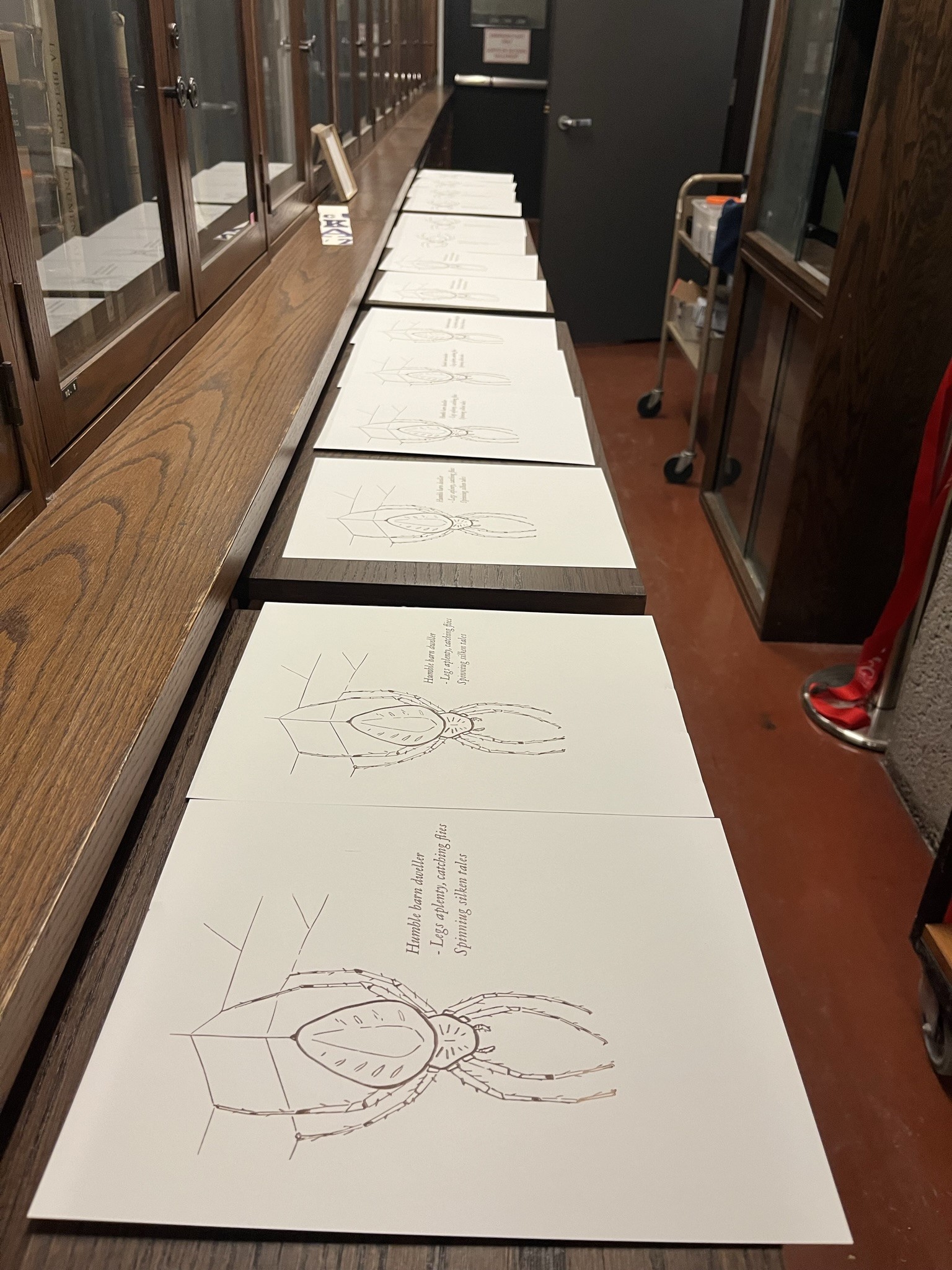 Charlotte A Cavatica – Nature's Reverie