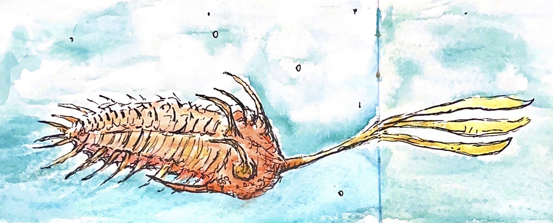 Old Things – Nature's Reverie