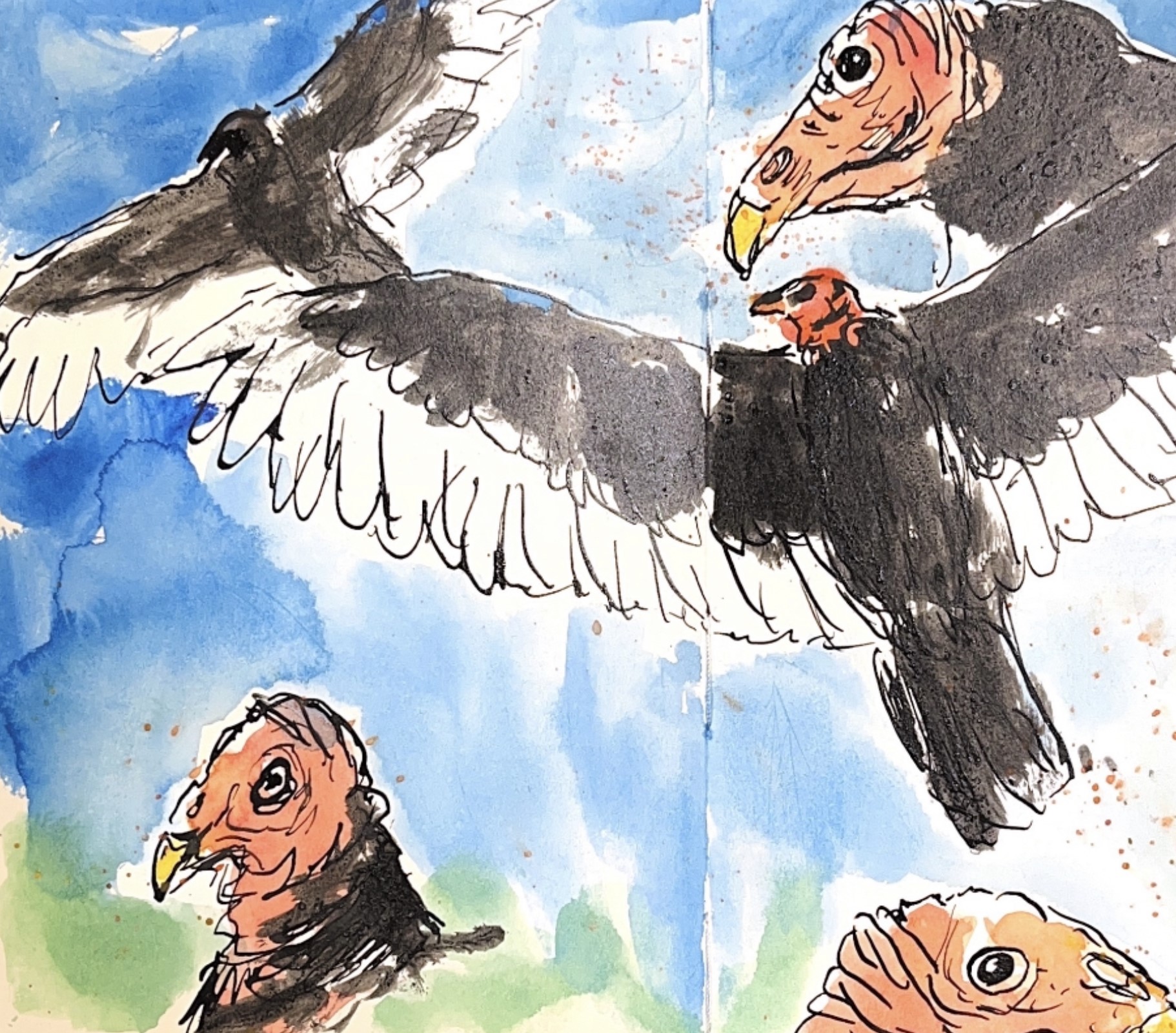 Signs of spring – Nature's Reverie