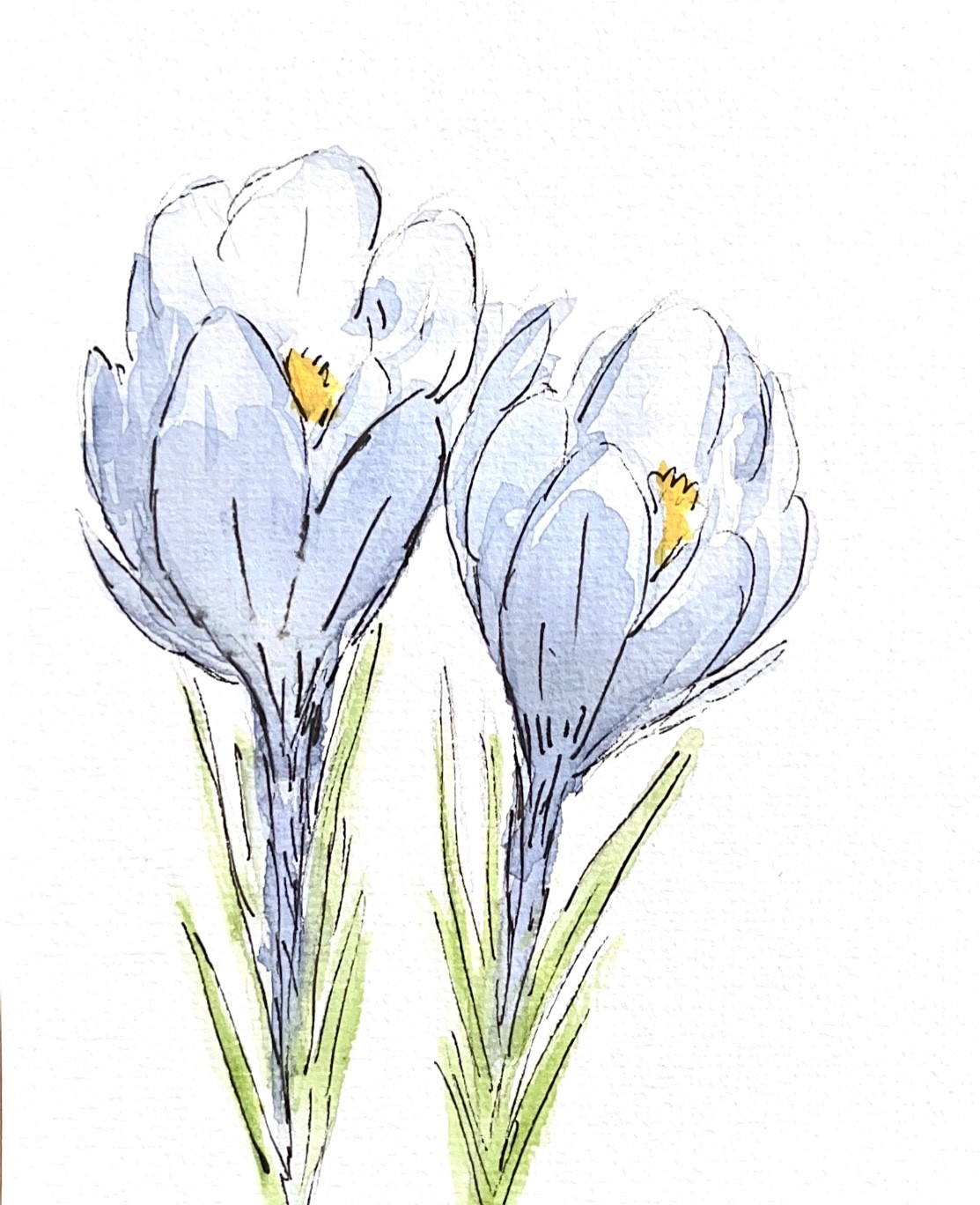 Blooming – Nature's Reverie