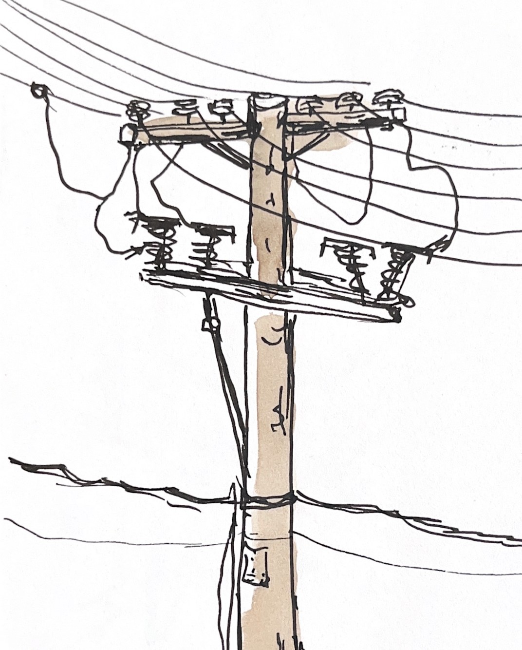 Electric – Nature's Reverie