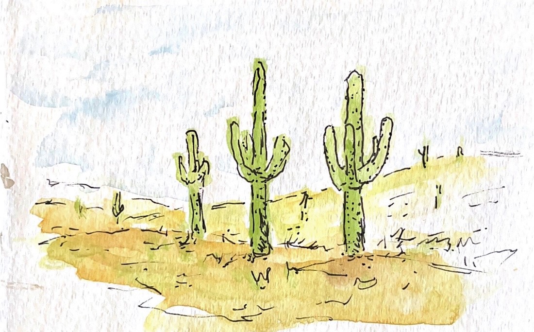 Desert-bound – Nature's Reverie