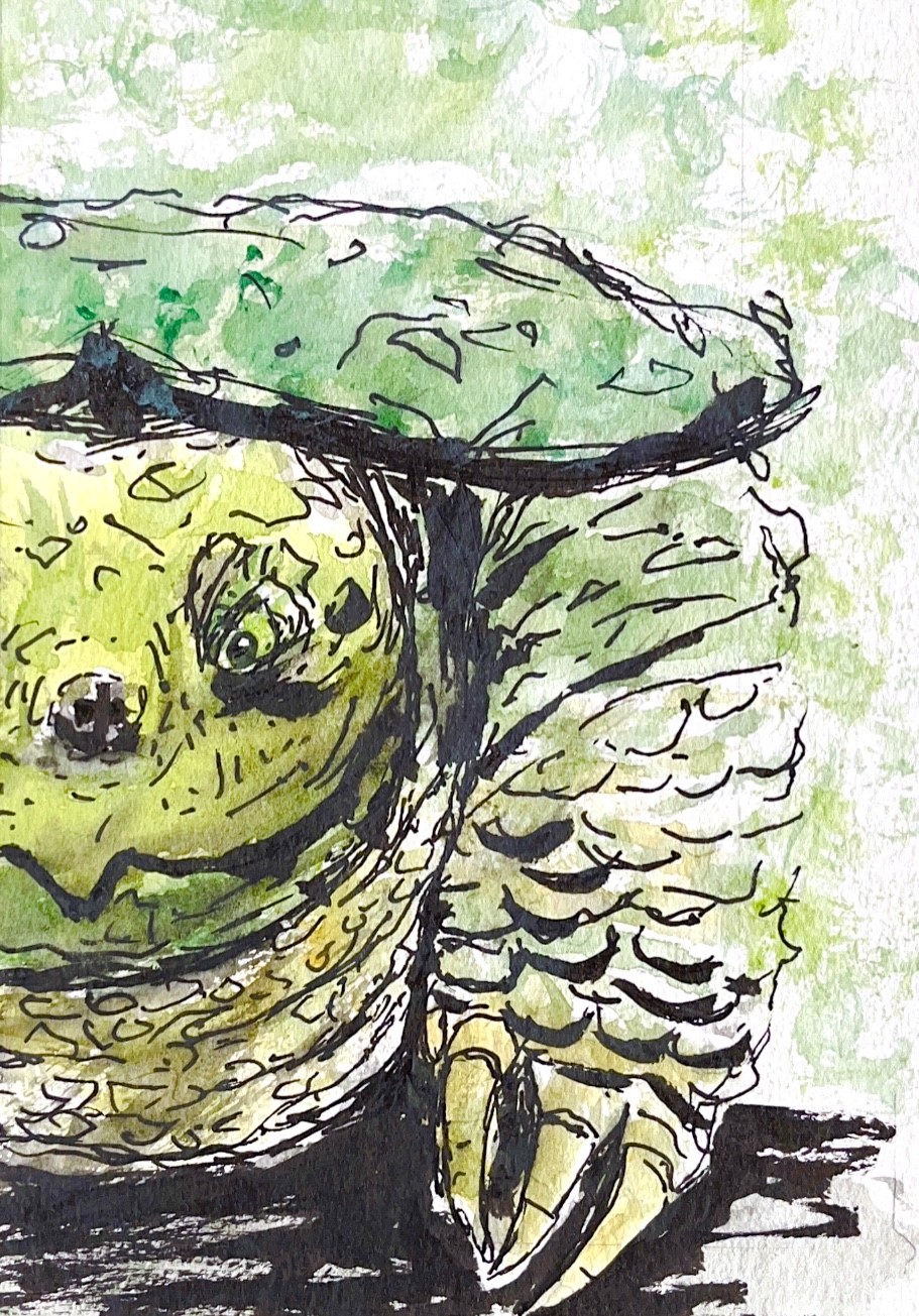 Snap! – Nature's Reverie