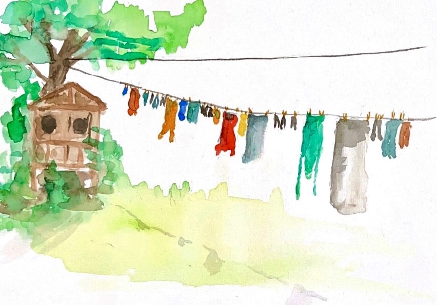 Clothesline – Nature's Reverie