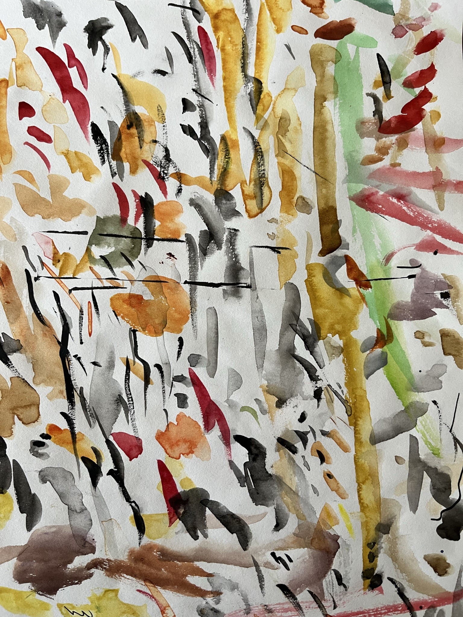 Colours – Nature's Reverie