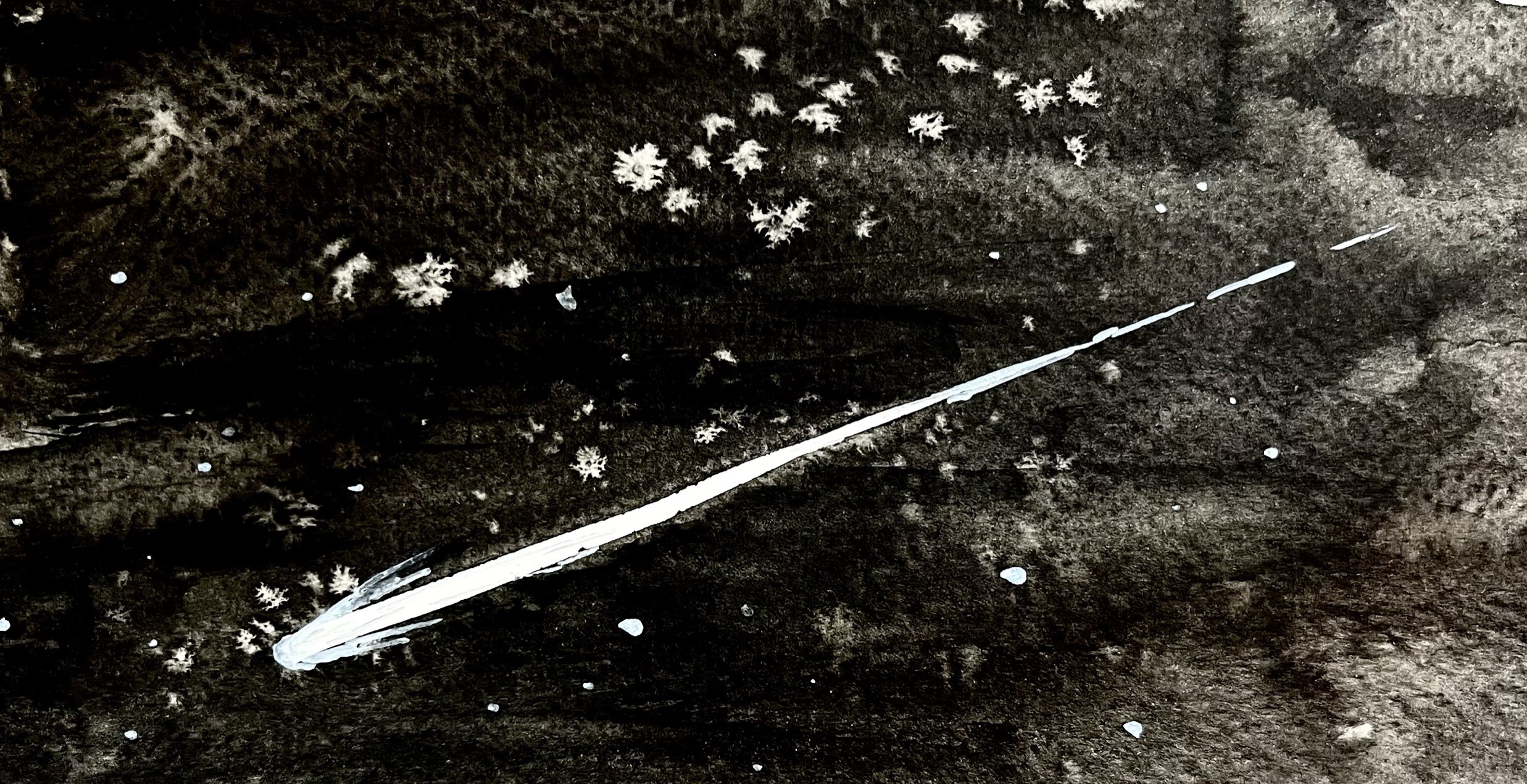 meteor – Nature's Reverie