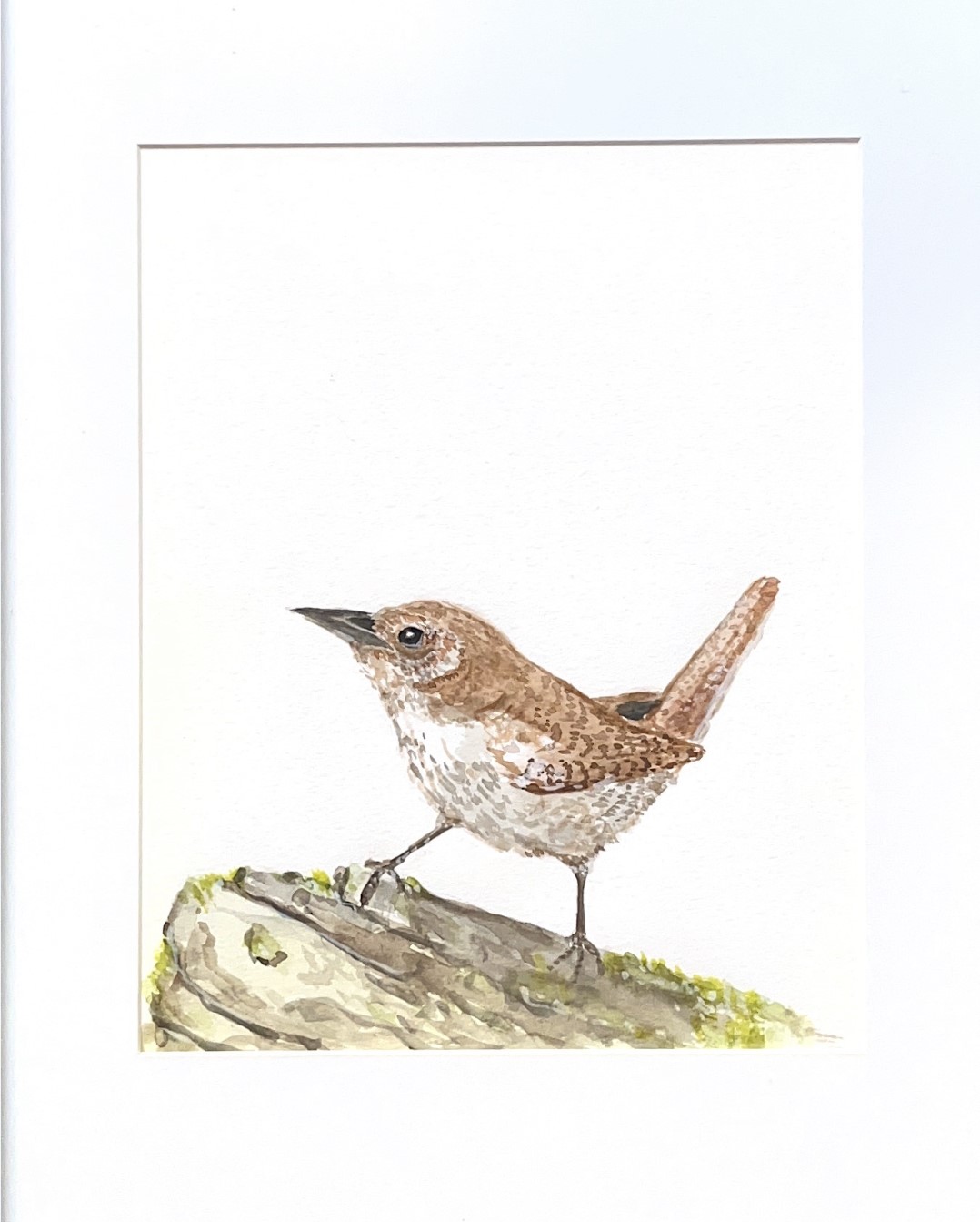 Art for Conservation – Nature's Reverie