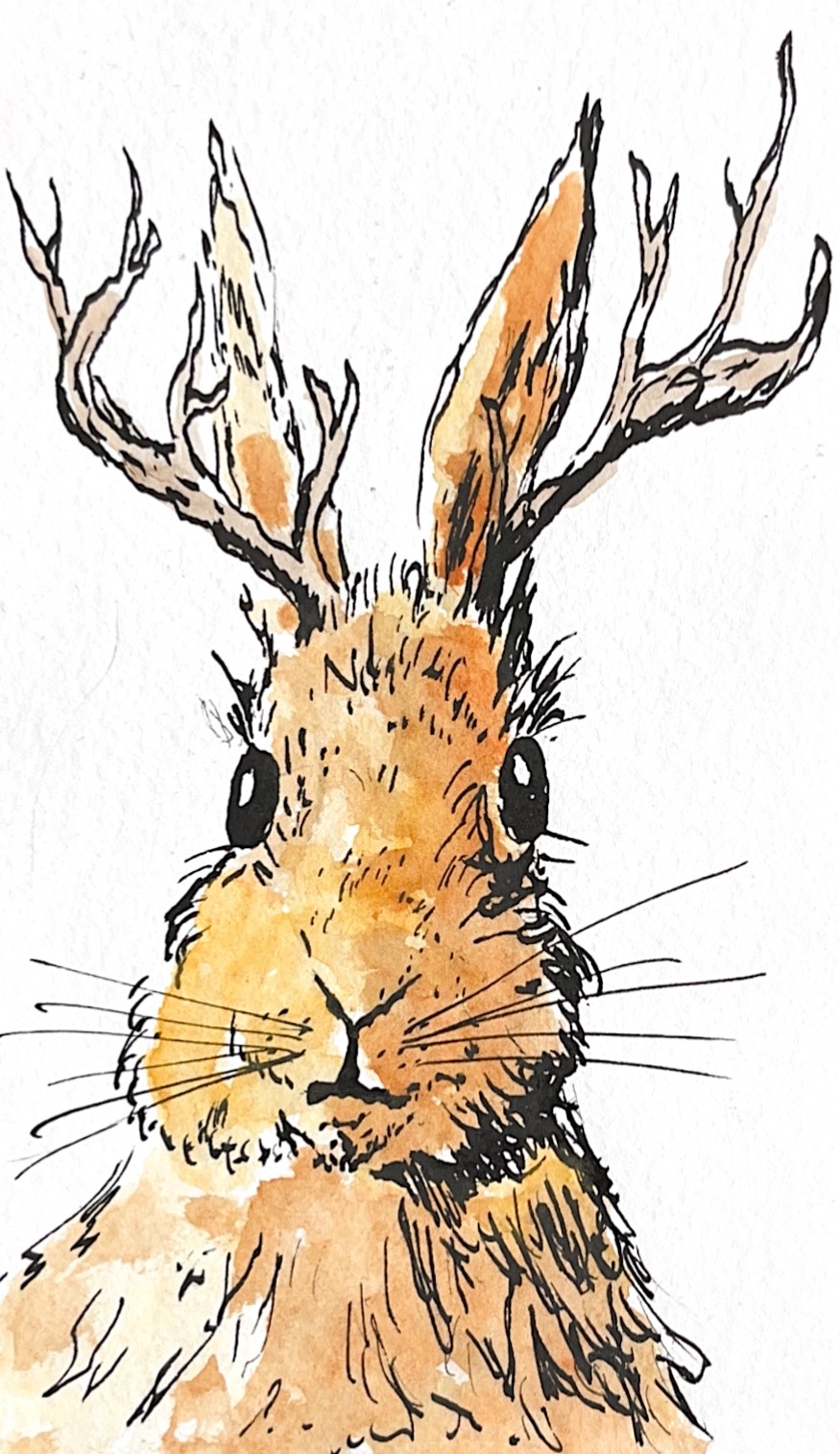 Hoppy Holidays – Nature's Reverie