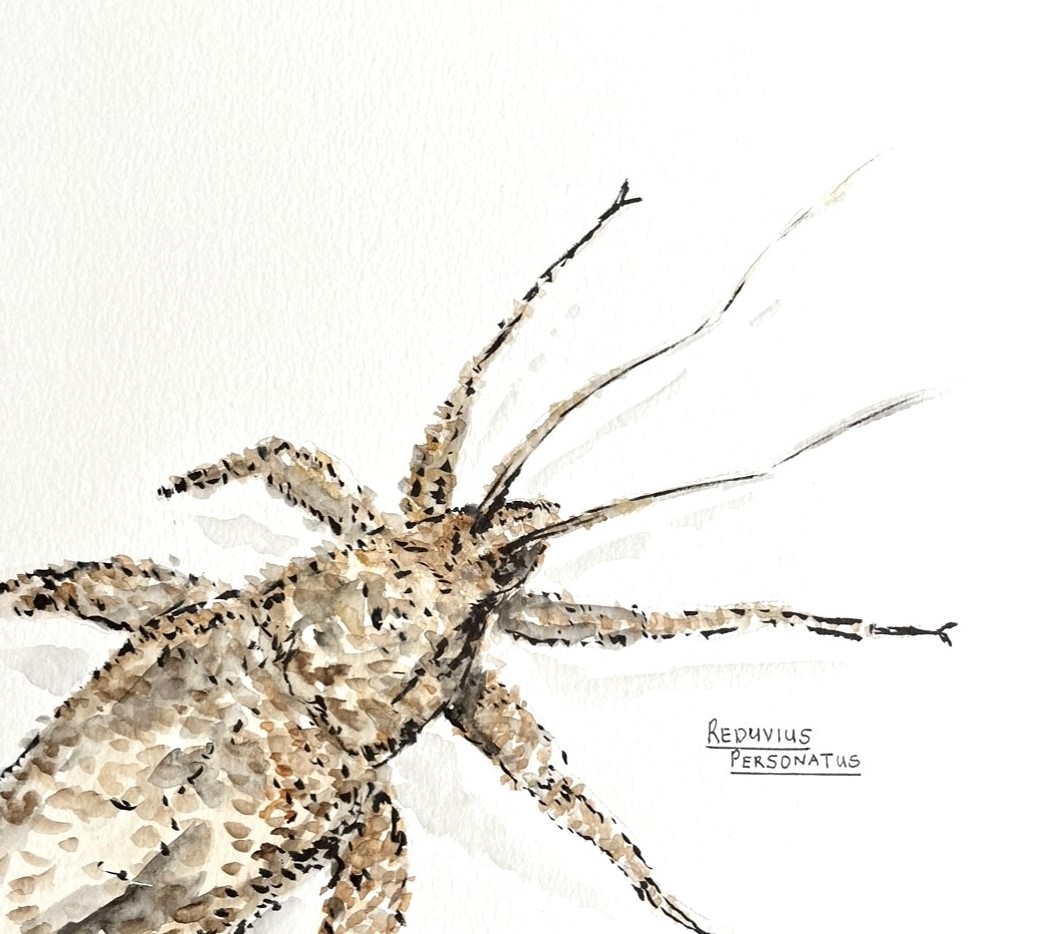 The Hunter – Nature's Reverie