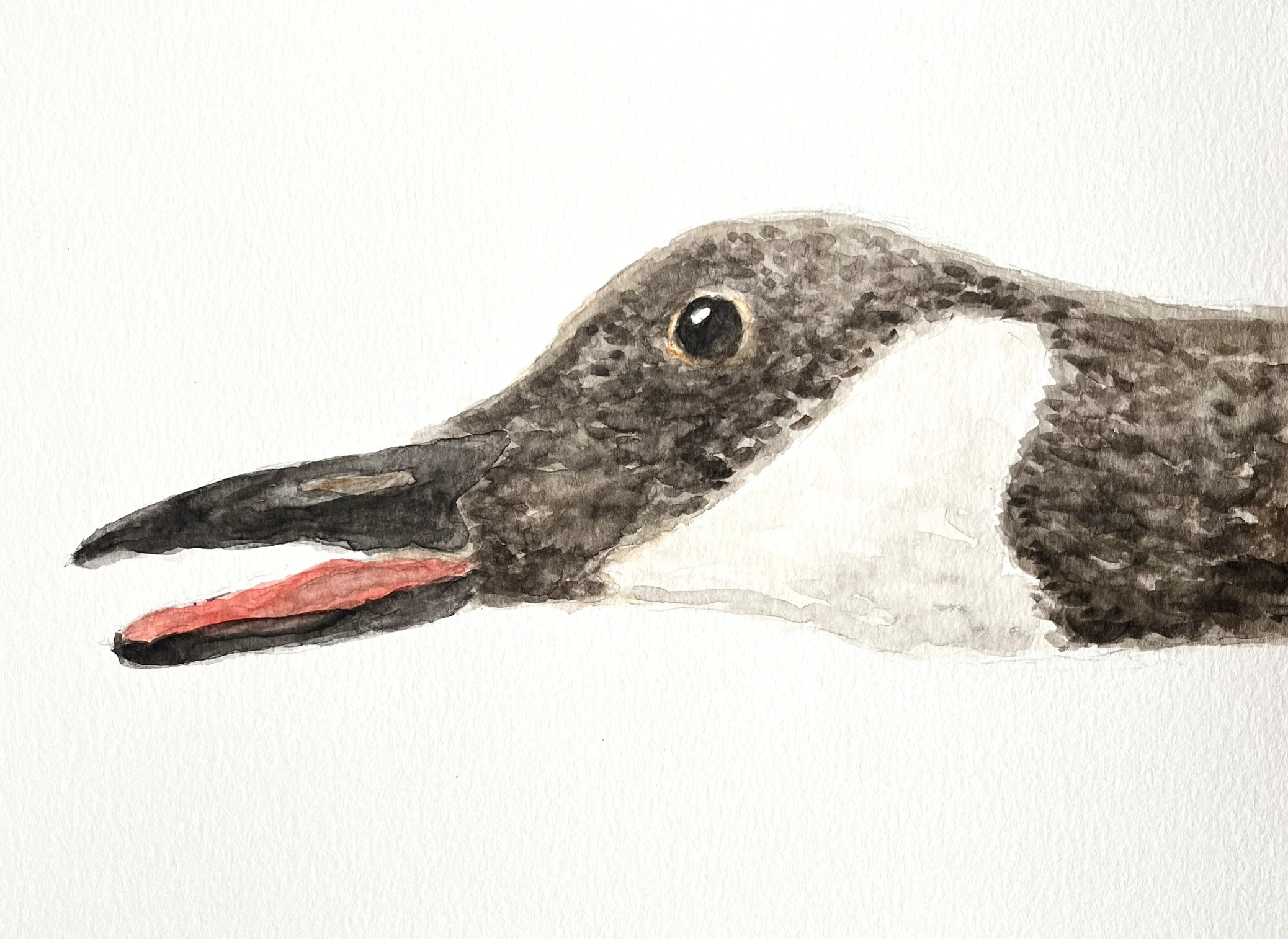 the return – Nature's Reverie