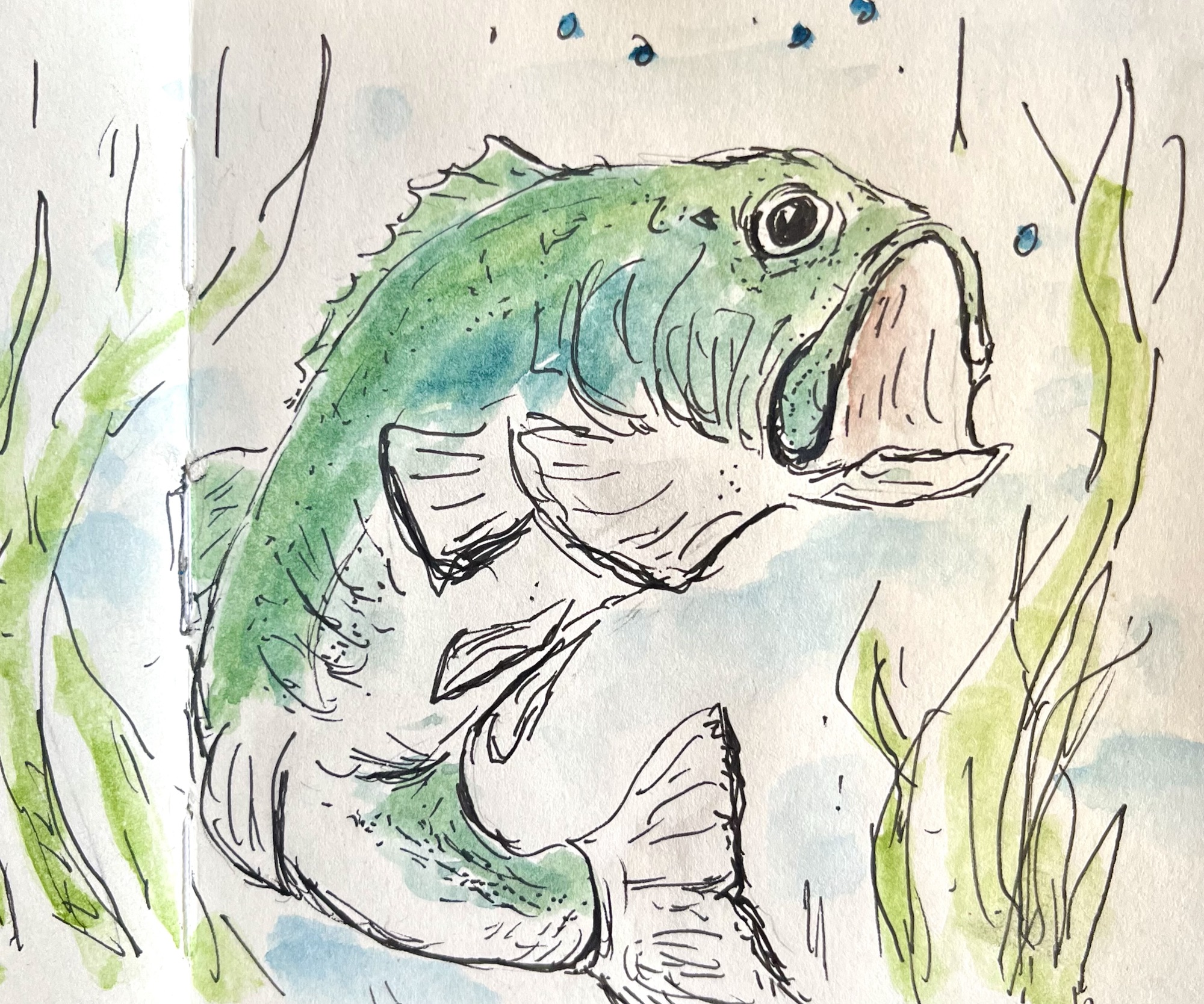 Dreaming of fish – Nature's Reverie