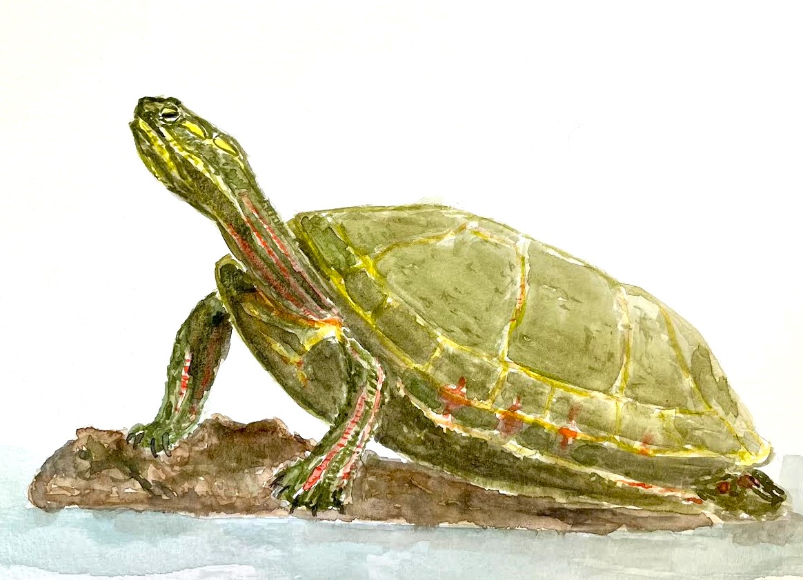 painted – Nature's Reverie