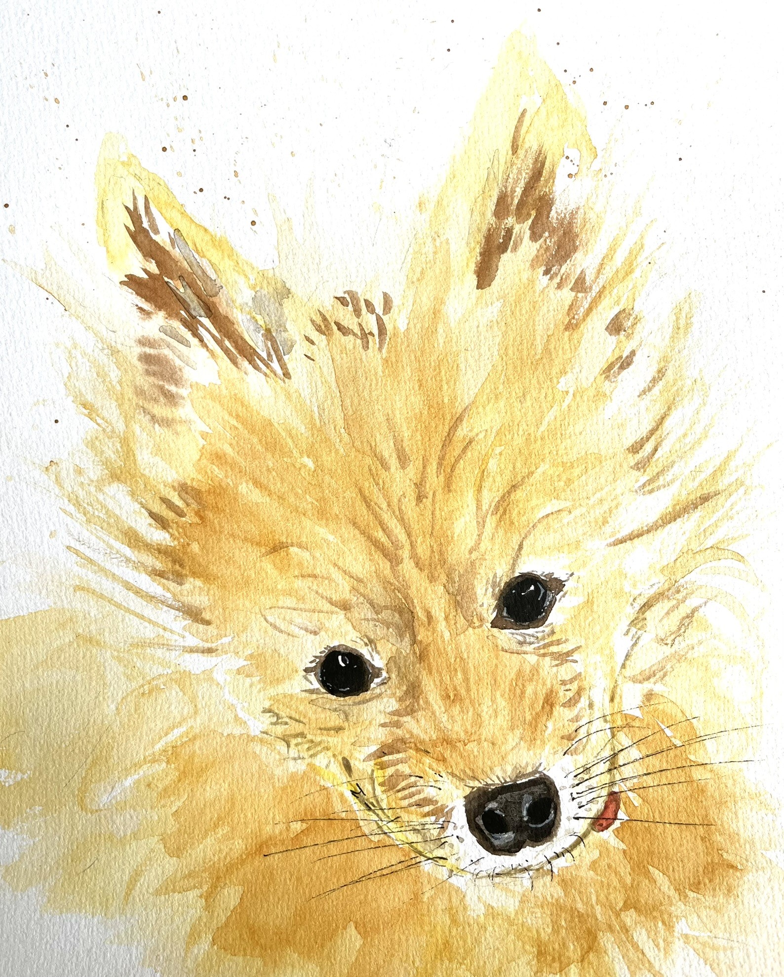 The Good Boy – Nature's Reverie