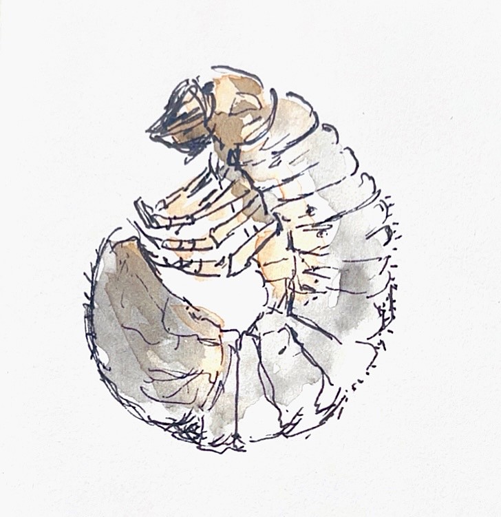 Grubby – Nature's Reverie