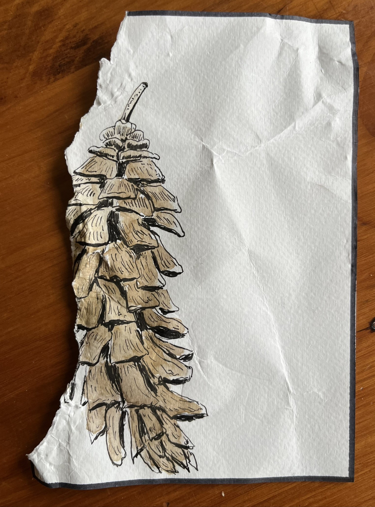 the dog ate my art – Nature's Reverie