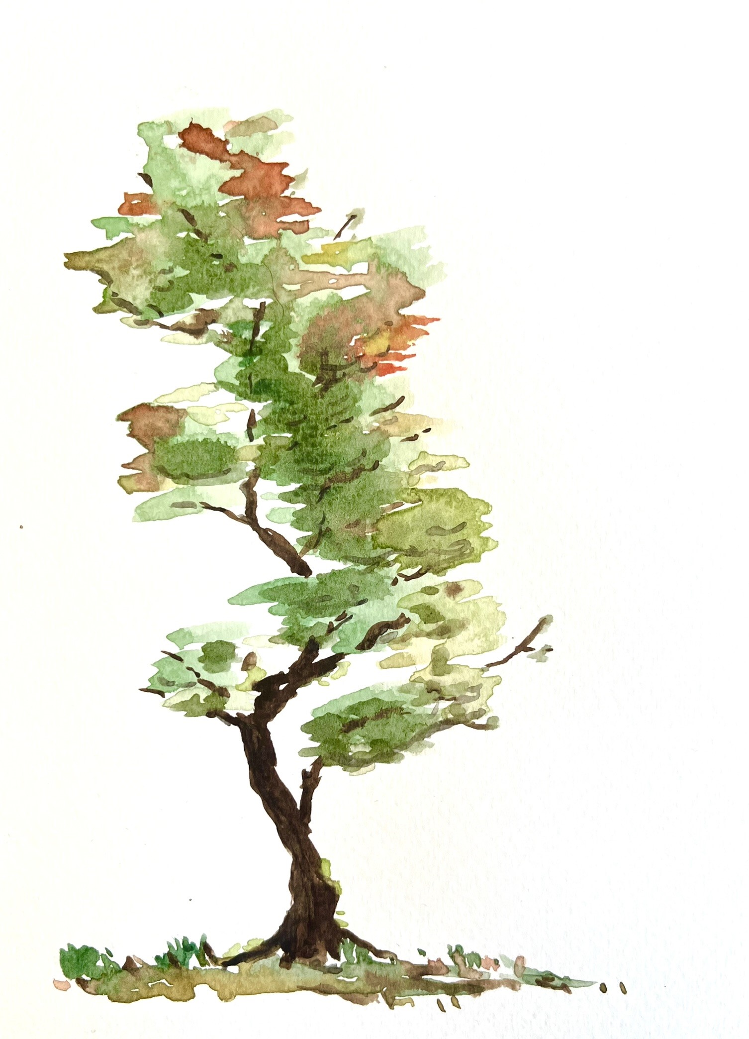 A touch of autumn – Nature's Reverie