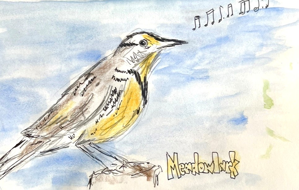 morning song – Nature's Reverie