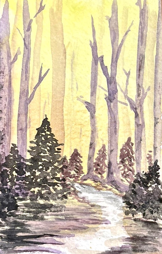 the woods – Nature's Reverie