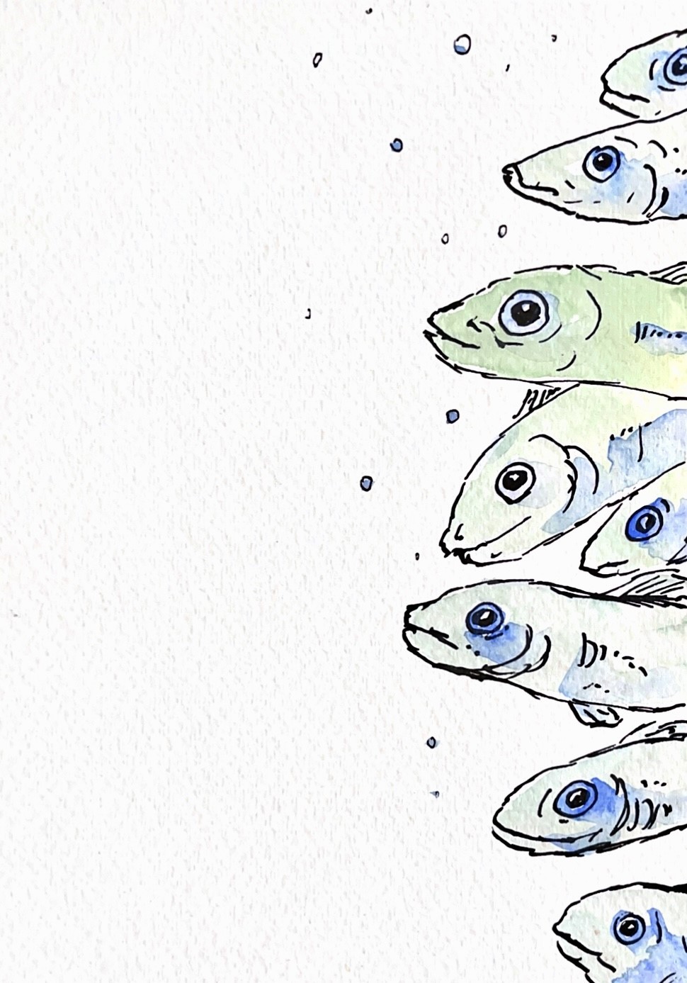 schools – Nature's Reverie