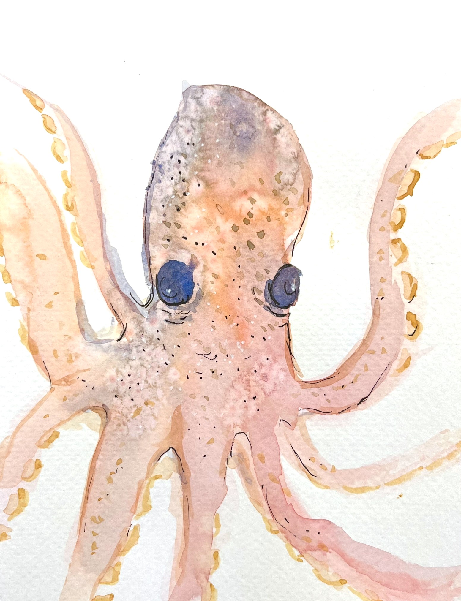 Octopus – Nature's Reverie