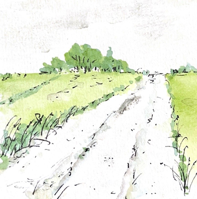 landscapes from the train – Nature's Reverie